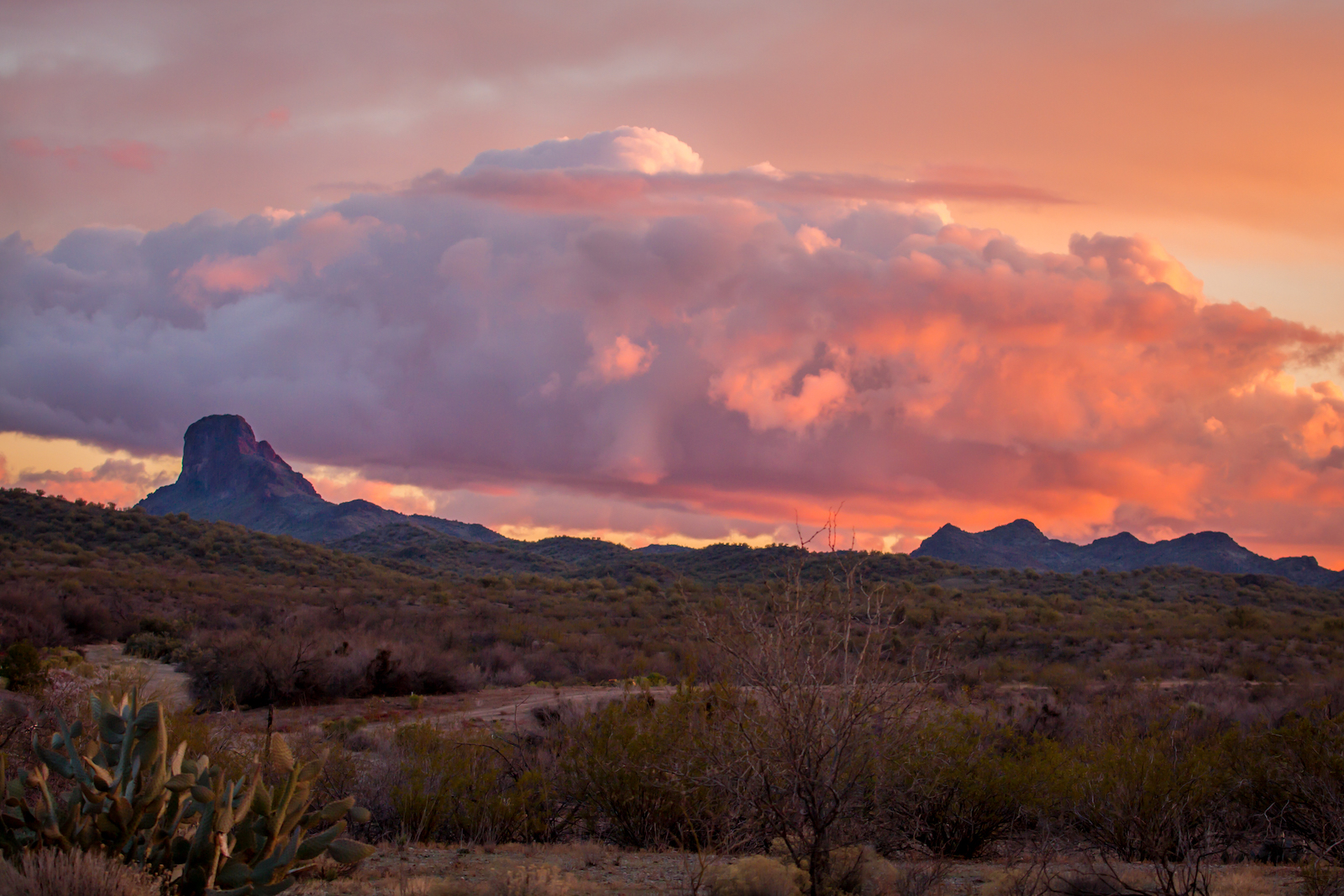 Wickenburg: The Old West in a Modern Town - Visit USA Parks