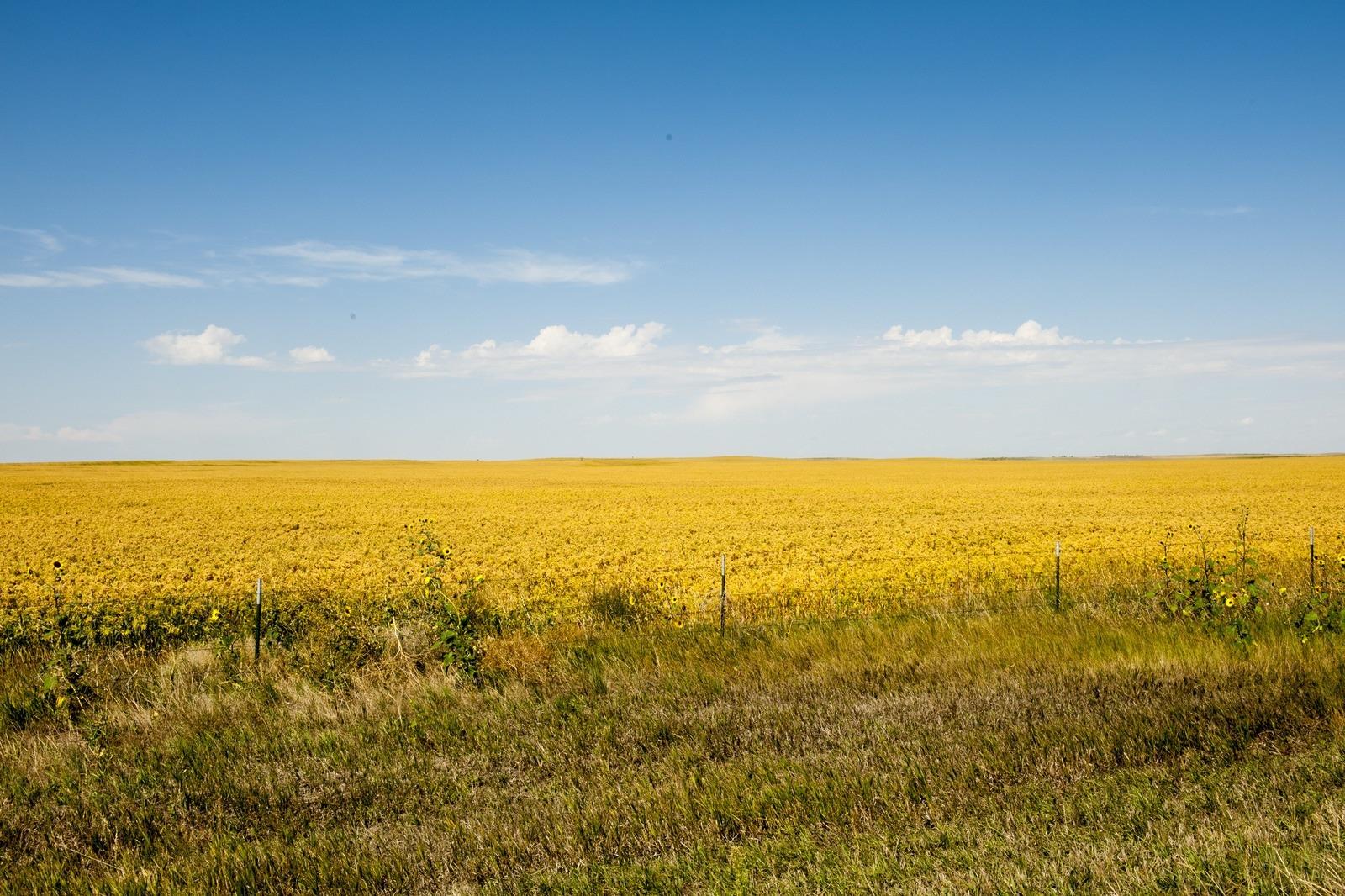 Morgan County: Where the Prairie Meets the Sky - Visit USA Parks