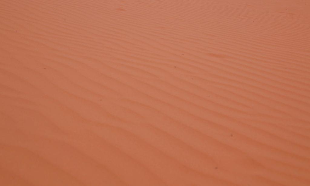 Coral Pink Sand Dunes State Park: Are We in the Sahara? Visit USA Parks