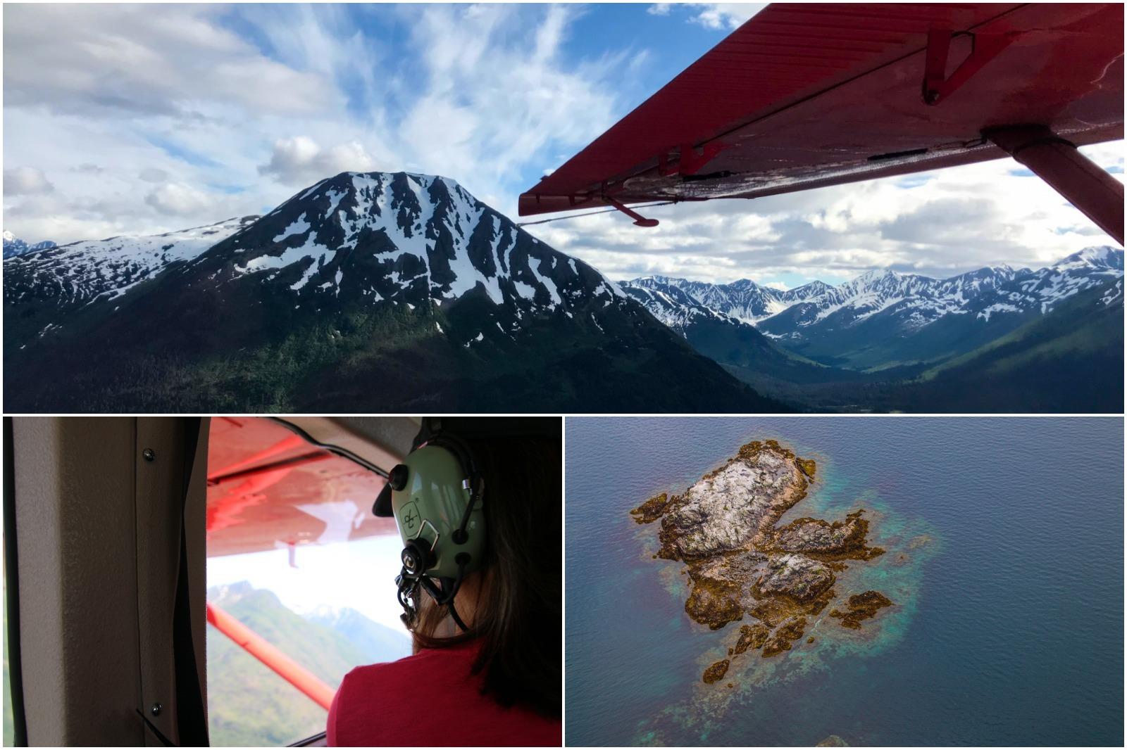 Want to See Denali from the Air? Take an Alaska Scenic Flight Tour ...