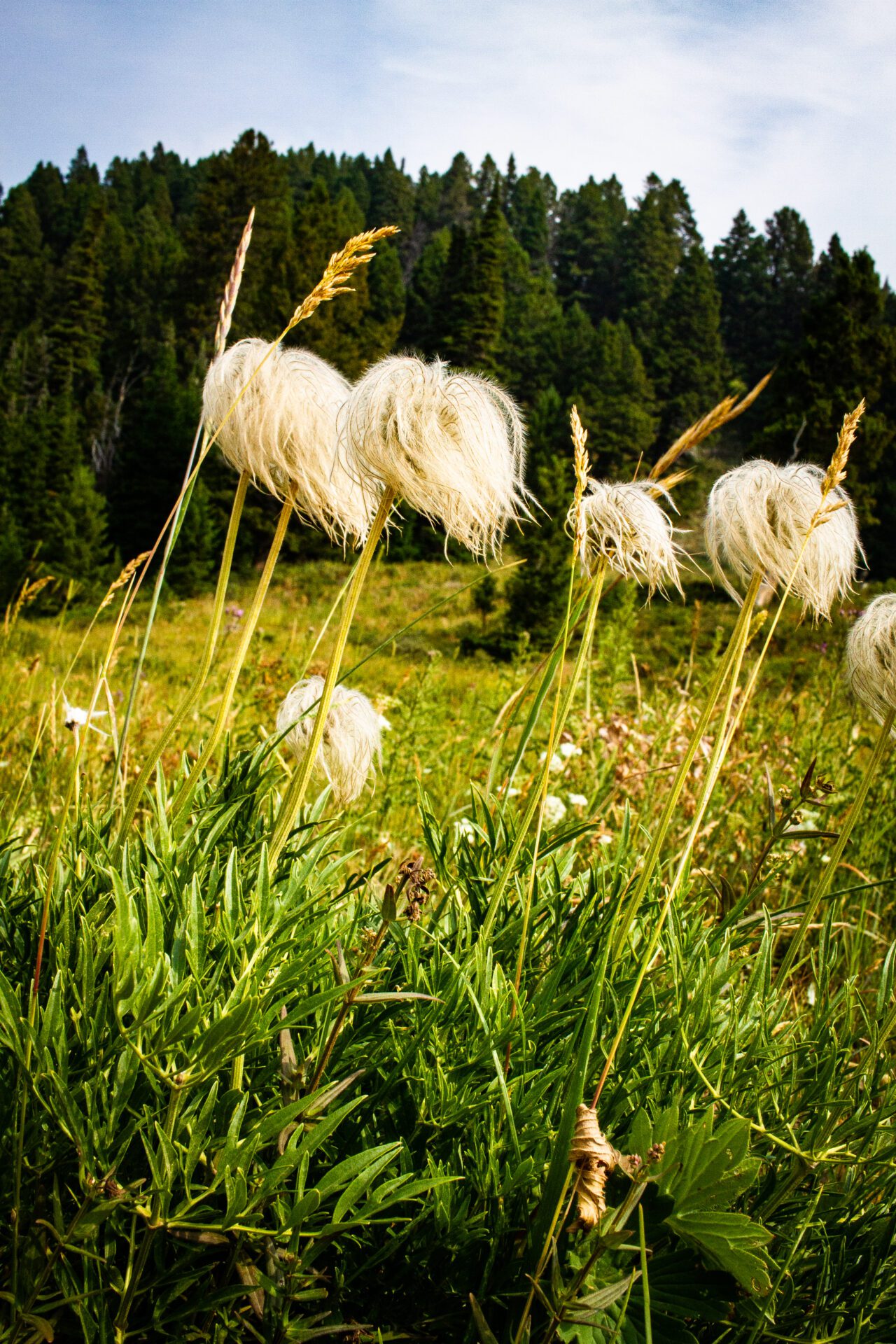 How to Enjoy Hiking, Camping, and Traveling In a Wildfire Summer ...