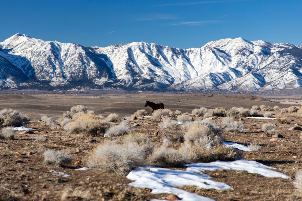 Carson Valley, Nevada: Calling Me Back to the Mountains - Visit USA Parks
