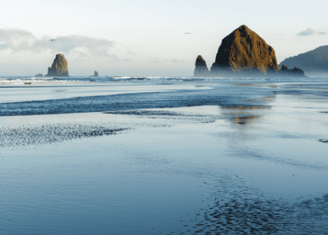 The Hidden Treasures of the West Coast - Visit USA Parks