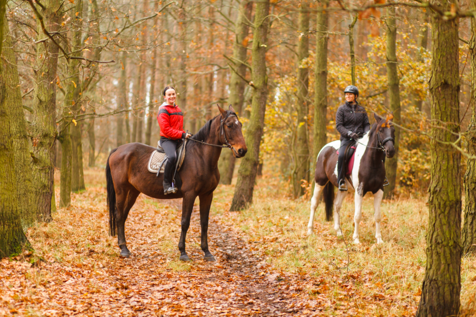 Horseback Trail Riding in America’s National Parks - Visit USA Parks