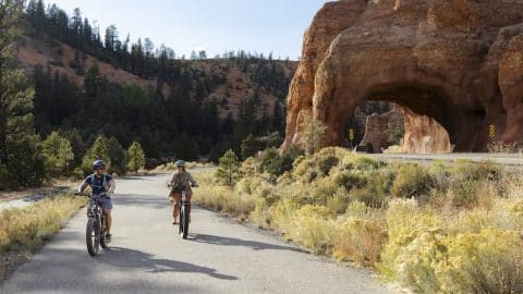 Summer's Oasis in Bryce Canyon Country - Visit USA Parks
