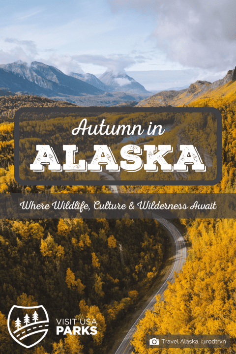 Autumn in Alaska: Where Wildlife, Culture & Wilderness Await
