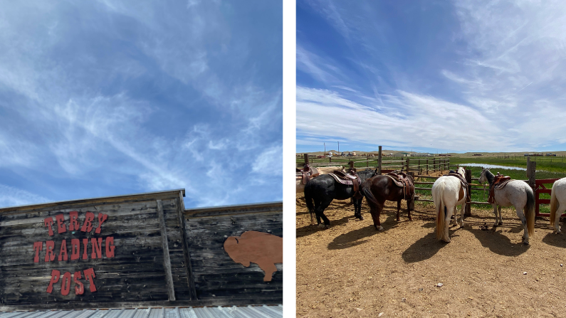 Slow Down & Savor Cheyenne's Cowboy Country Gems - Visit USA Parks